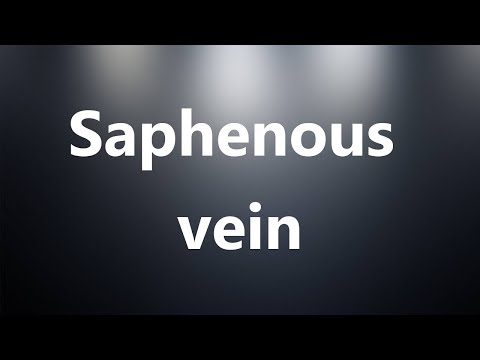 Saphenous vein - Medical Definition and Pronunciation