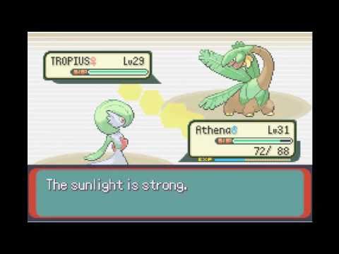 Pokemon Emerld Walkthrough Part 16