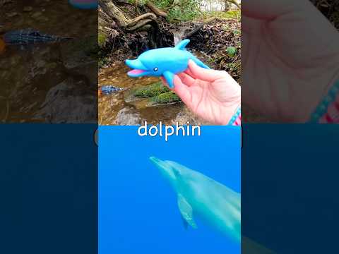 Kids Learn | Sea Animal Names at the Double Waterfall: Stingray Seahorse Sea Otter Turtle Dolphin