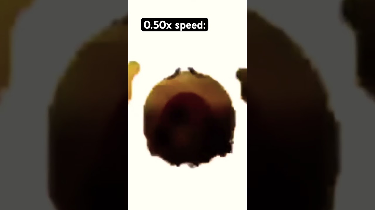 Disappearing emoji at different speeds (daily meme #26)