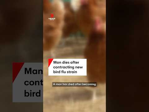 Man dies after contracting new bird flu strain