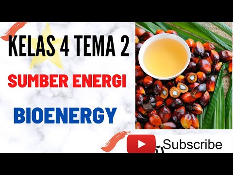Energi Bio/Bio Energi #shorts