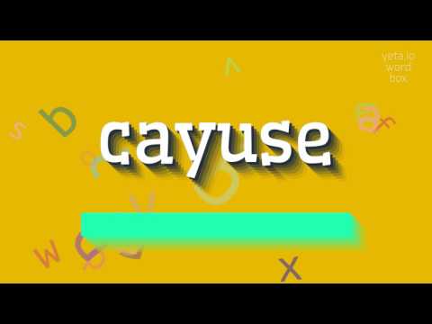 HOW TO SAY CAYUSE? #cayuse