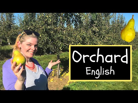 ๐ Pear Orchard: Learn English in an Orchard! Orchard English Vocabulary and Idioms! ๐ณ