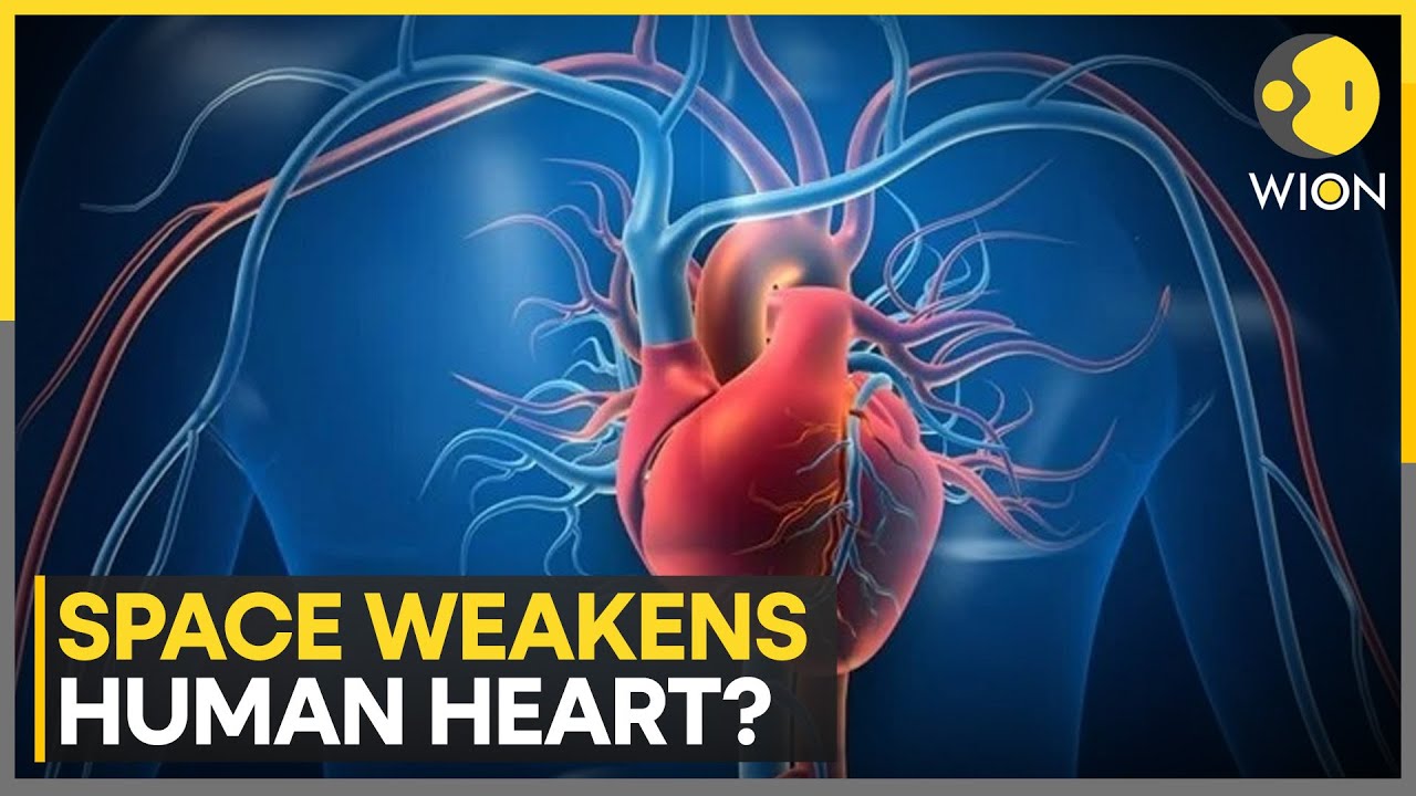 Study: Microgravity Leads to Irregular Heartbeats in Space | Latest English News | WION