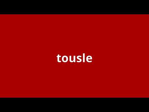 what is the meaning of tousle