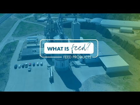 What is Feed? Feed Products