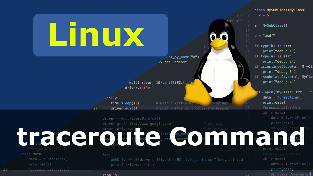 Linux Command - traceroute