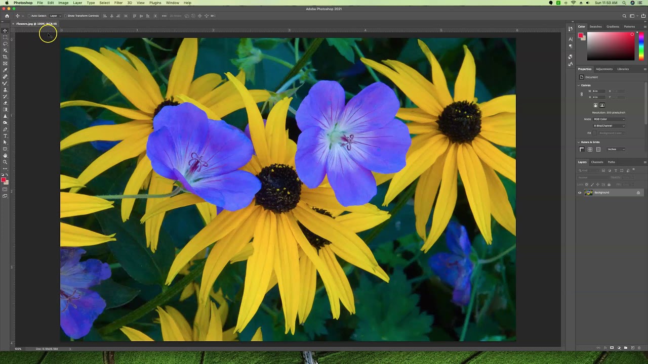 Preparing images for Offset Printing