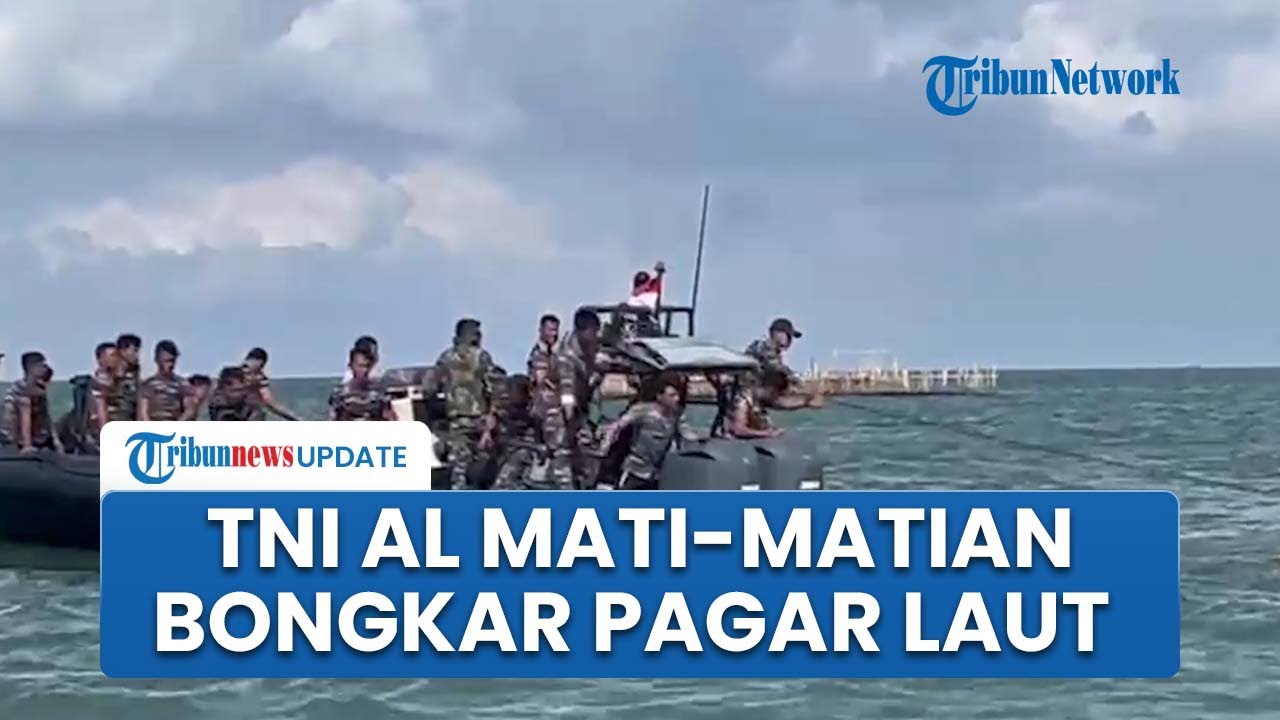 600 Anggota TNI AL Mati-matian Bongkar Pagar Laut Misterius di ...