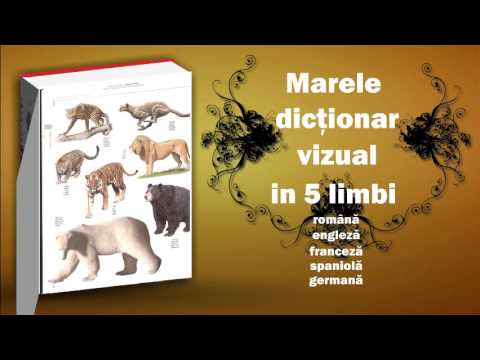 Marele Dictionar Vizual in 5 limbi - Editura Litera
