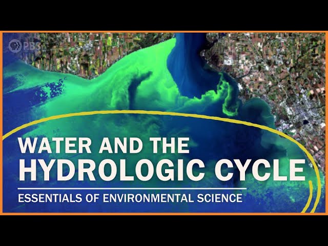 Understanding the Water Cycle and Its Impact on Water Pollution | Galaxy