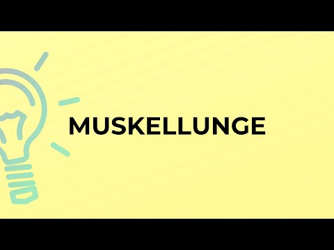 What is the meaning of the word MUSKELLUNGE?