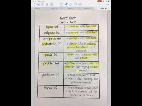 Week 21-Ped Root Word