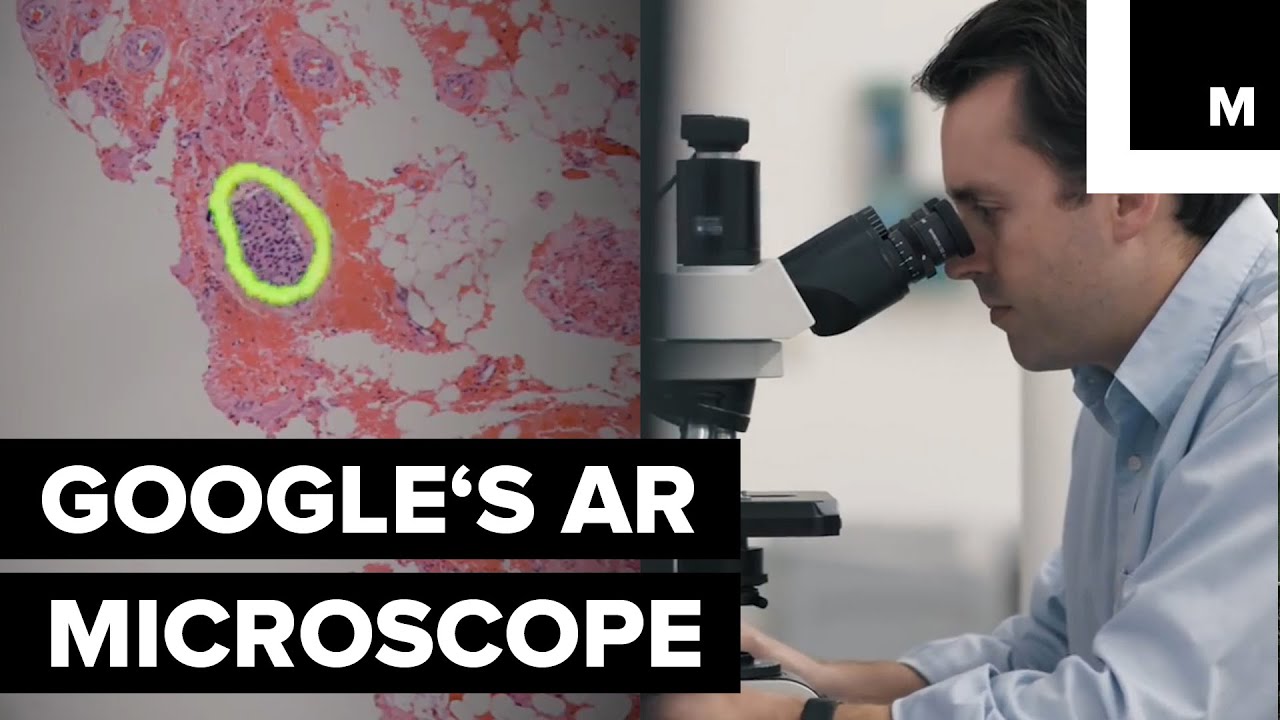 Google Researchers Are Using AR Microscopes to Detect Cancer