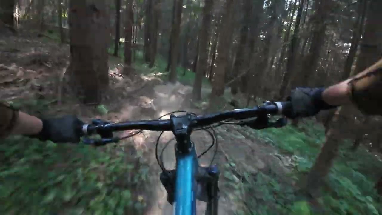 Rabka Trails (Krzywoń) – Enduro-MTB-Radrouten in Rabka-Zdrój - Maja Travels