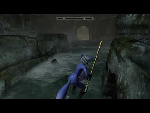 Steam Community :: Video :: Blue Cerinian in "Skyrim" _ 20201013