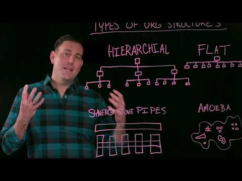 90 Second Leadership - Types of Organizational Structures (Todd Adkins)