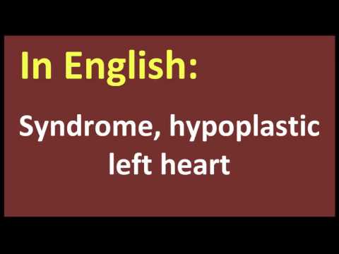 Syndrome, hypoplastic left heart spanish MEANING