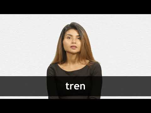 English Translation of “TREN” | Collins Spanish-English Dictionary