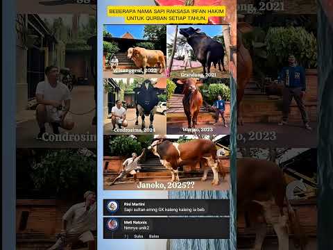 BERIKUT NAMA-NAMA SAPI QURBAN IRFAN HAKIM #beritaviral #beritaterkini