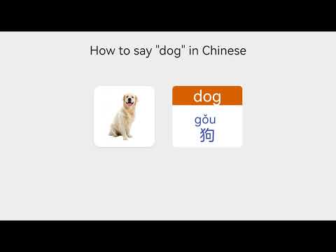 【Vocabulary Pet Animal Names】 How to say dog in Mandarin Chinese