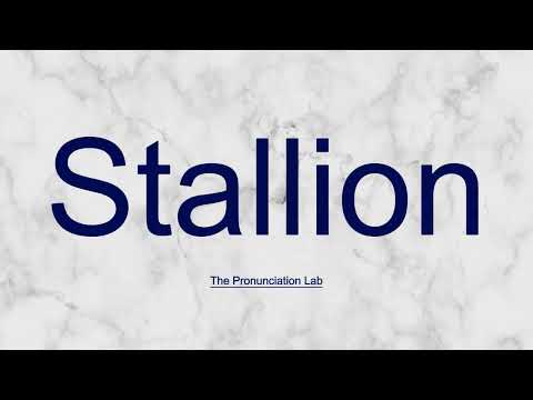 Stallion Pronunciation: How to Pronounce Stallion — How to Say Stallion?