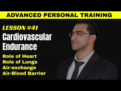 Cardiovascular Endurance || Fitness Endurance