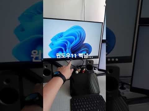 결국 윈도우 11 뻑남