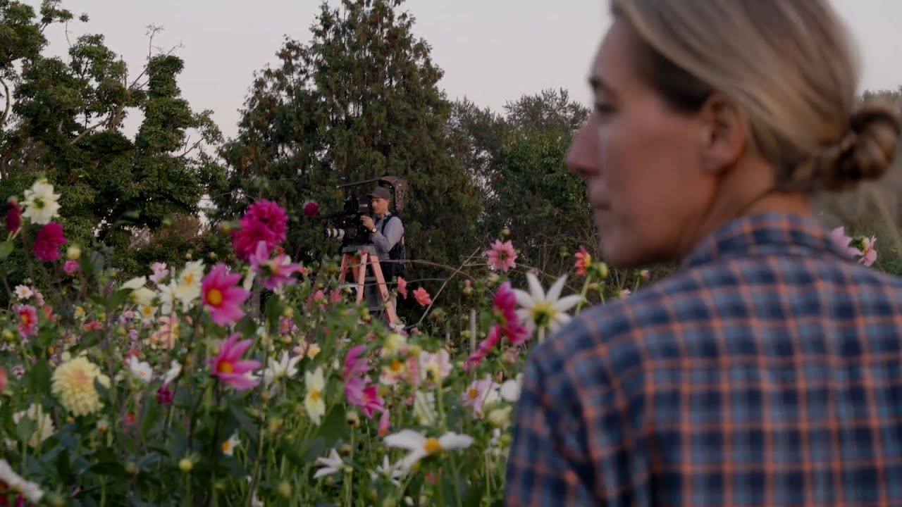 Growing Floret Behind the Scenes: Magic in the Dahlia Breeding Patch