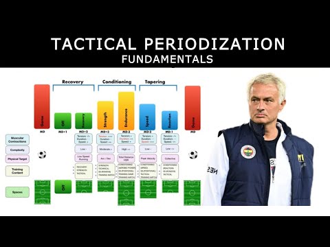 Tactical Periodization Fundamentals