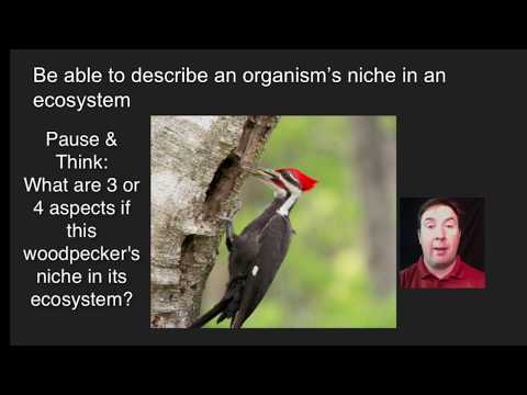 Honors Biology 1-3: Ecosystem Interactions