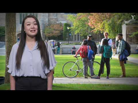 Yale School of Public Health Virtual Tour