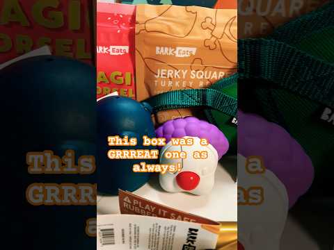 IT’S A GOOD ONE! BARKBOX SUPER CHEWER is here [SEPTEMBER 2023]#barkbox #barkboxday #barkboxunboxing