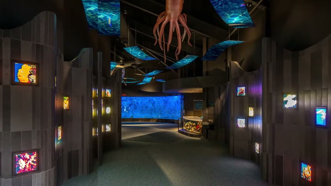 MEI Scott Foundation projects 2021