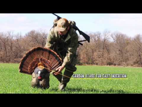 Flextone Thunder Creeper Turkey Decoy | Sportsman's Warehouse