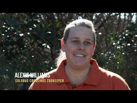 Zoo Jobs: Keeper