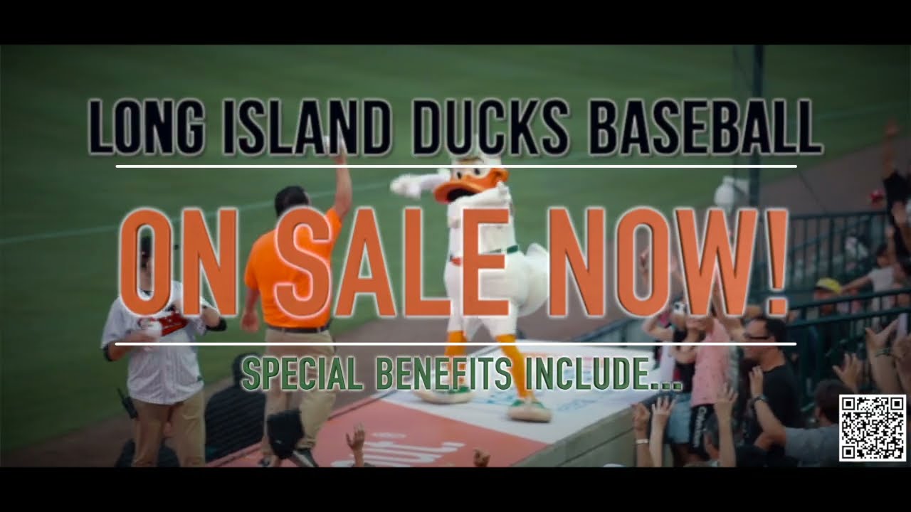 Long Island Ducks Baseball - Affordable Family Fun on Long Island