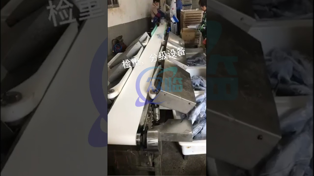 fish grader, weight grading, weight sorting, weight sizing, weight sorter, fish sorting machine