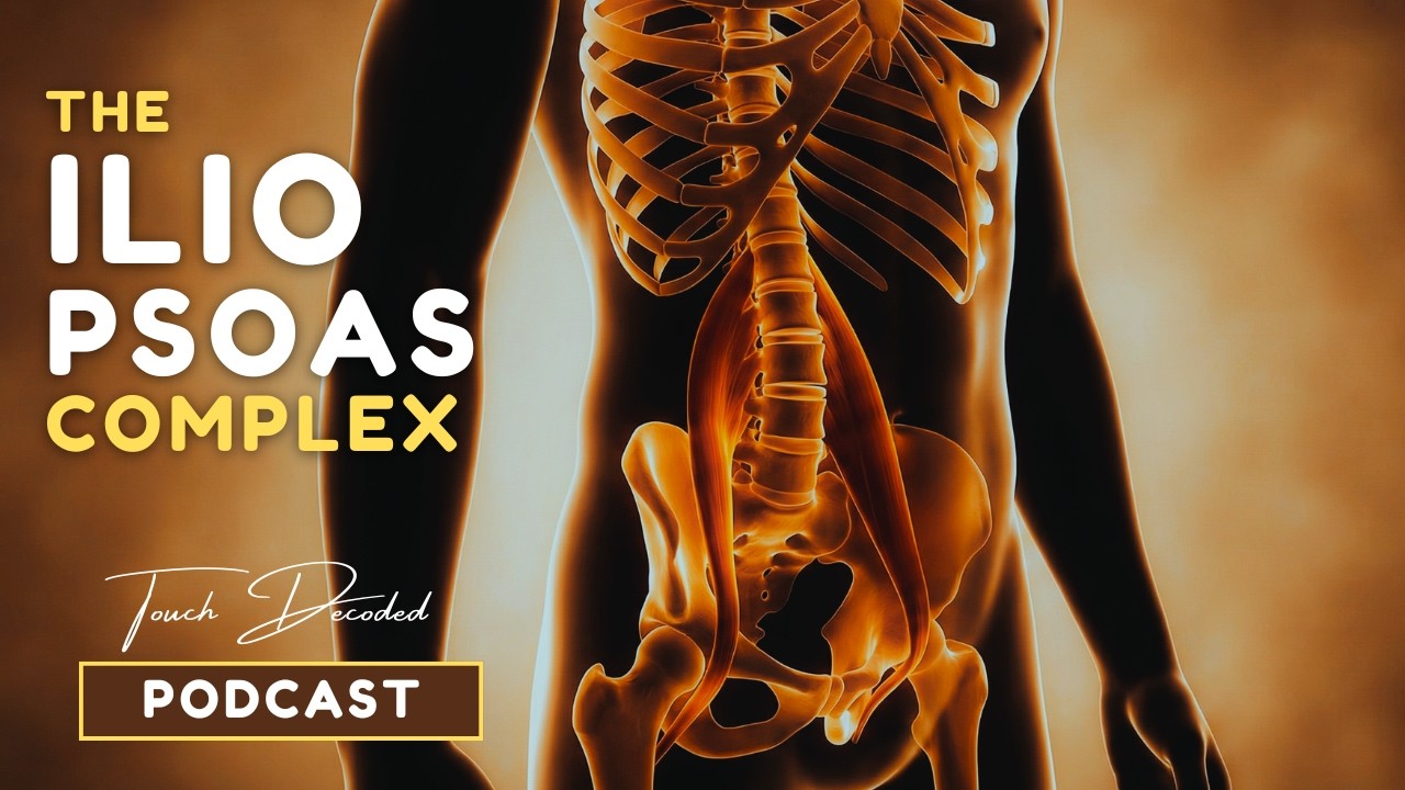 Iliopsoas Complex | Anatomy, Function & Myths
