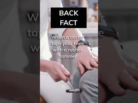 What Causes Your Jerk Reflex? The Science of Our Backs #shorts