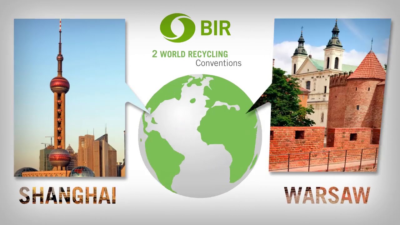 BIR - annual report 2013