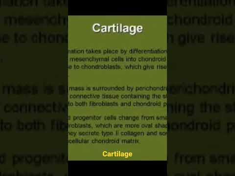 Cartilage | Chapter#3- Cartilage and Bone Histology