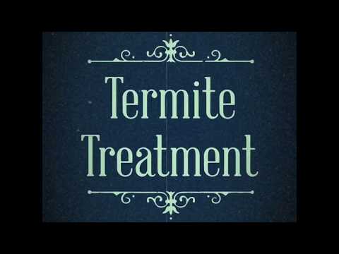 Termite Treatment in Mesa, AZ
