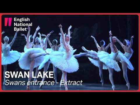 Swan Lake: Dance of the swan – createmovedance