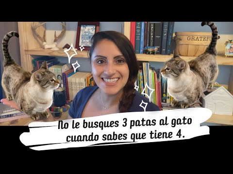 No le busques 3 patas al gato - Spanish popular saying