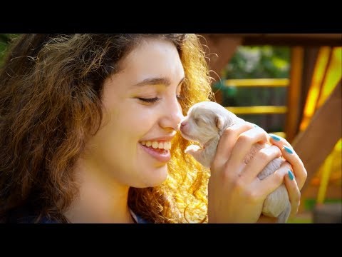 What Does Innovative Cancer Care Mean To Sophia Petikas? - Willis Knighton Health