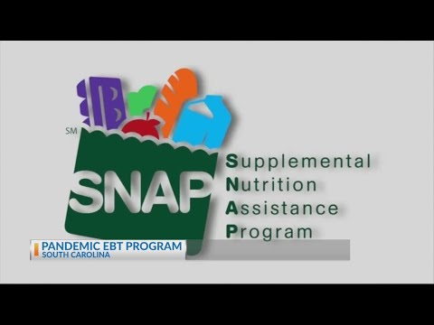 Pandemic EBT program