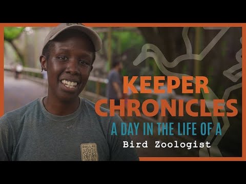 A Day in the Life of a BIRD ZOOLOGIST