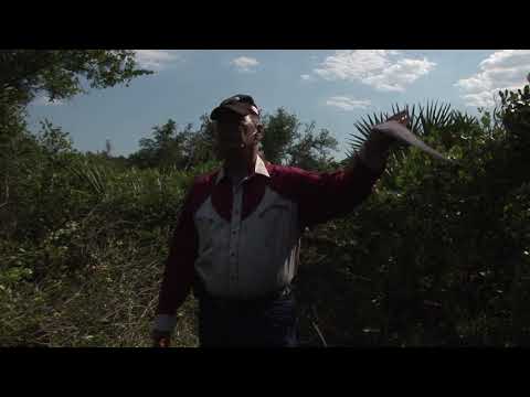2767 W Orillia Rd, Avon Park FL 33825 - Item 599937